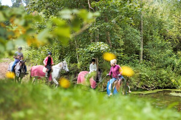 Impro ceļojumi » EnterGauja