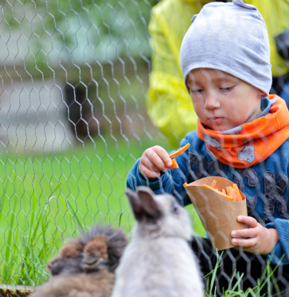 Mini Zoo Mežiņi » EnterGauja