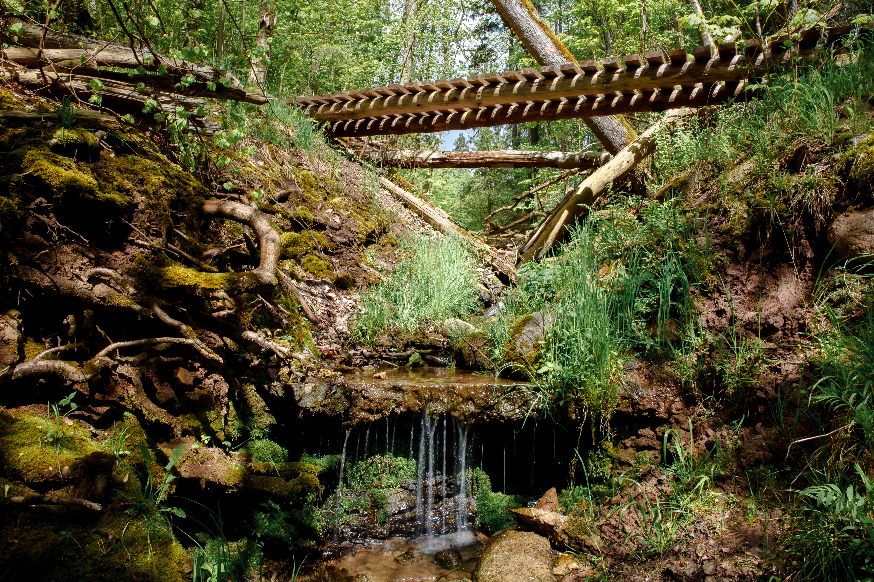 Karlamuiza's landscape park trail » EnterGauja